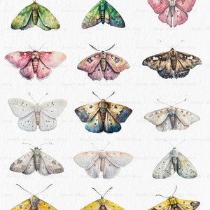 Moths Watercolor Clipart PNG - Insect Clipart Witchcraft Illustration ...