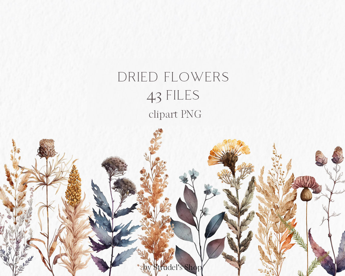 Dry Flowers Watercolor Clipart PNG Wild Flowers Pressed - Etsy
