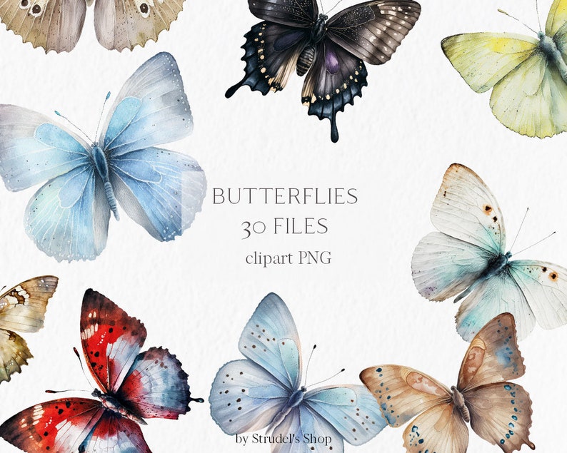 Butterflies Watercolor Clipart PNG Insect Clipart Hand Drawn - Etsy