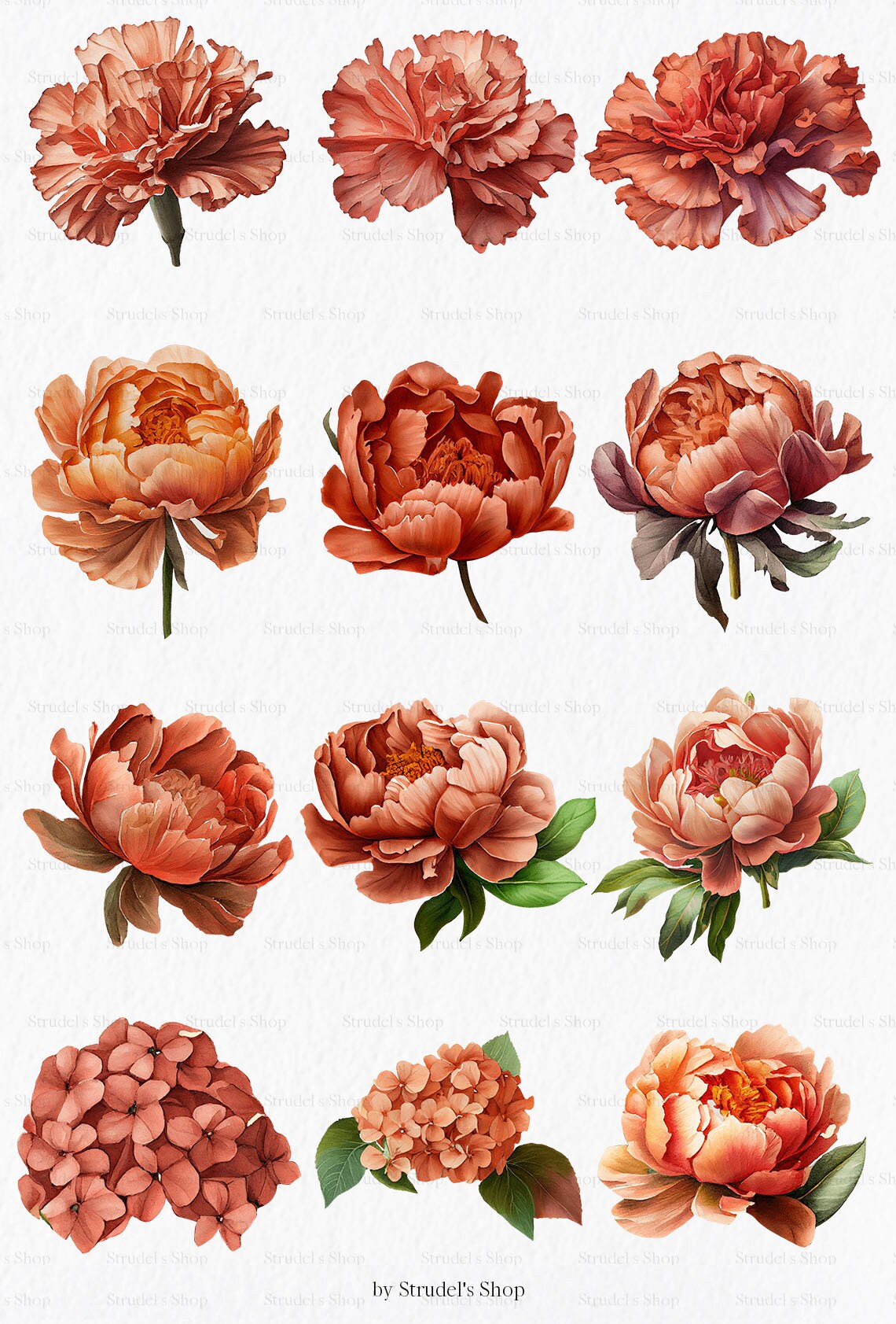 Terracotta Flowers Watercolor Clipart PNG Boho Wedding - Etsy