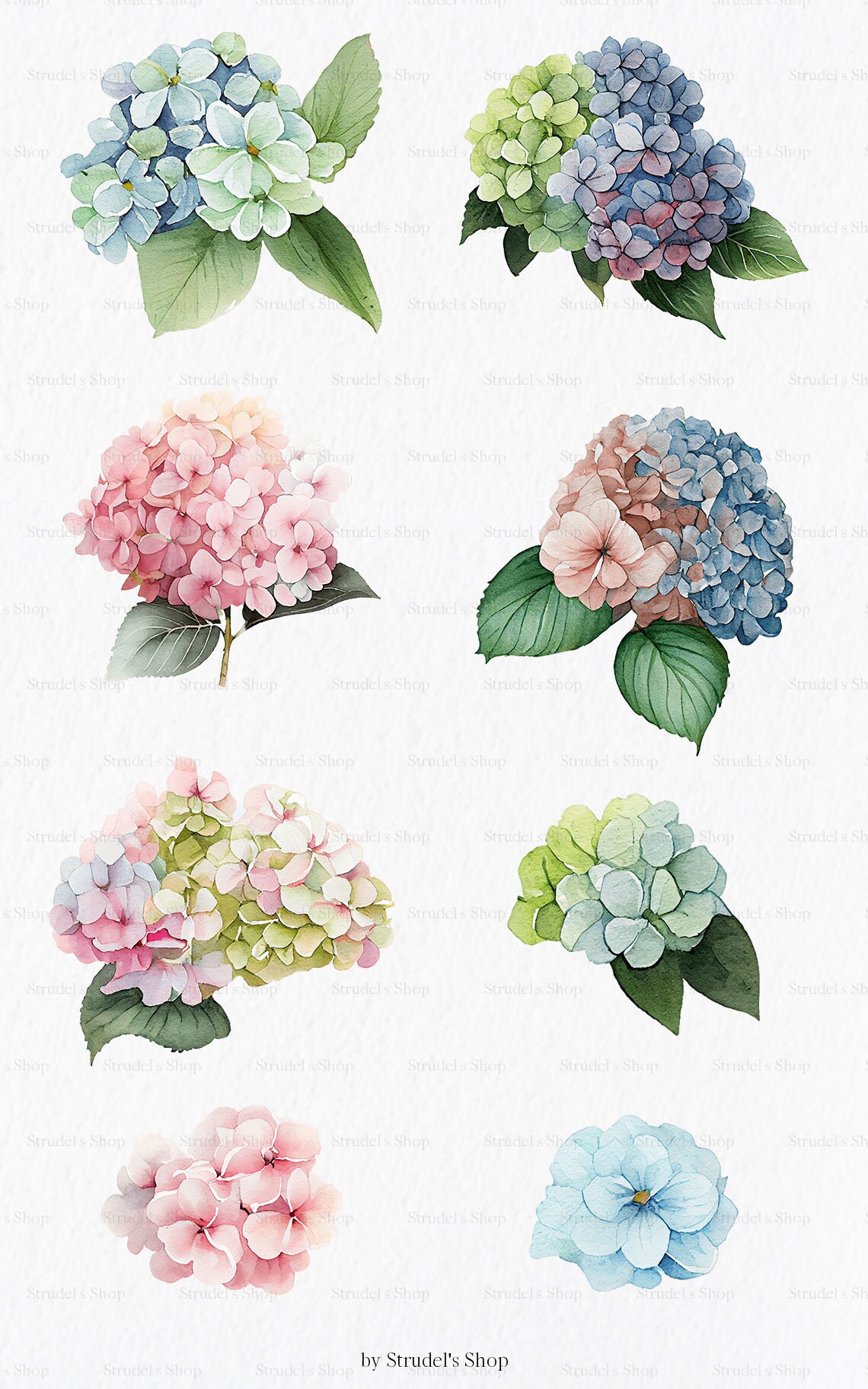 Pink & Blue Hydrangea Flower Watercolor Clipart PNG - Floral Wedding ...