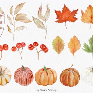 Watercolor Fall Clipart Autumn Clip Art White Orange Pumpkins Fall ...