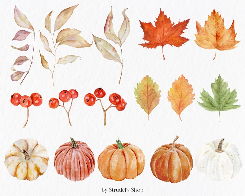 Watercolor Fall Clipart Autumn Clip Art White Orange Pumpkins Fall ...