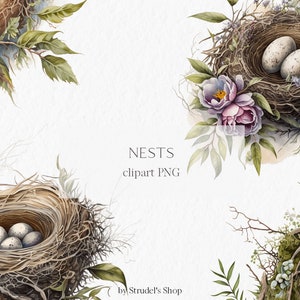 Nests Watercolor Clipart PNG Easter Spring Birds Eggs Nature b60 - Etsy