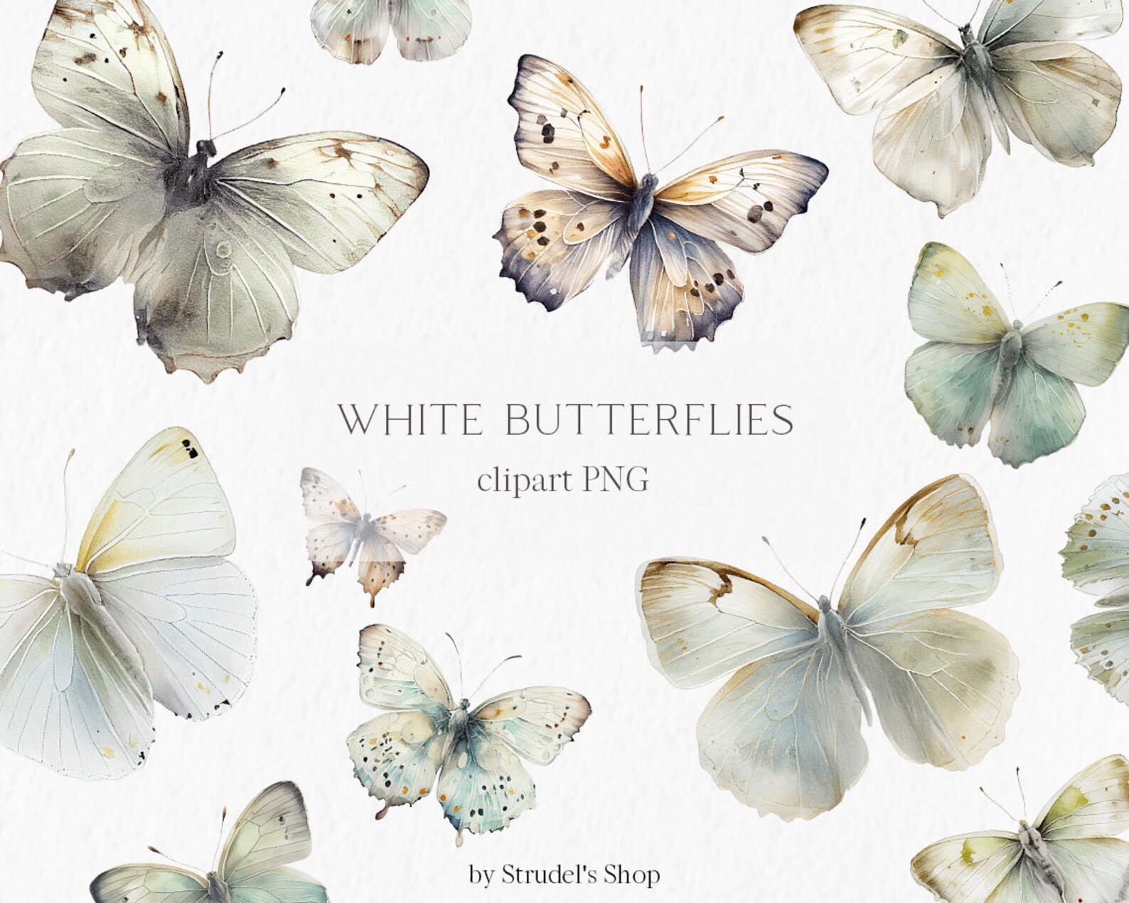 White Butterflies Watercolor Clipart PNG Summer Witchcraft Magical ...