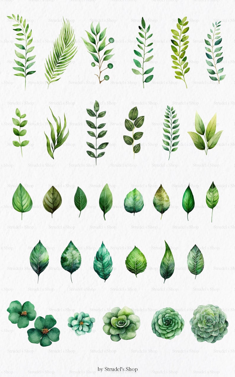 Green Nature Watercolor Clipart PNG Greenery Foliage Floral - Etsy