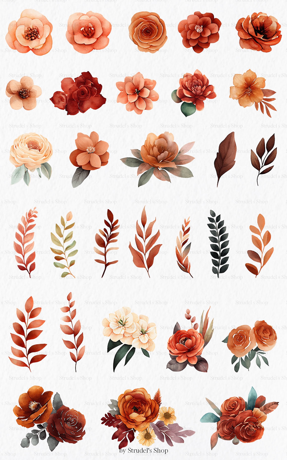 Terracotta Flowers Watercolor Clipart PNG Autumn Terracotta - Etsy