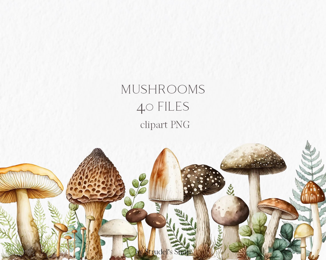 Mushrooms Watercolor Clipart PNG Forest Woodland Fall Autumn - Etsy