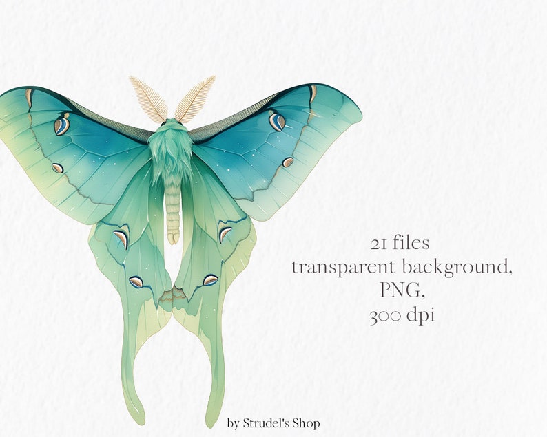 Luna Moth Clipart - Boho Butterfly PNG Garden Planner Insect PNG ...