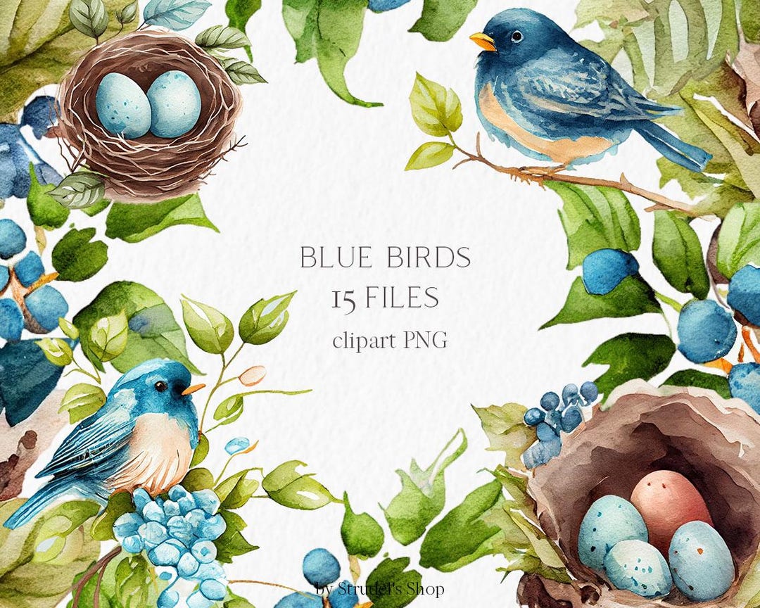 Spring Blue Birds Clipart – PNG Easter Watercolor Illustrations for DIY ...