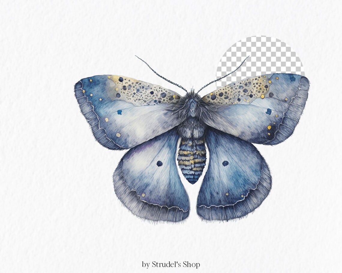Moths Watercolor Clipart PNG Insect Clipart Witchcraft - Etsy
