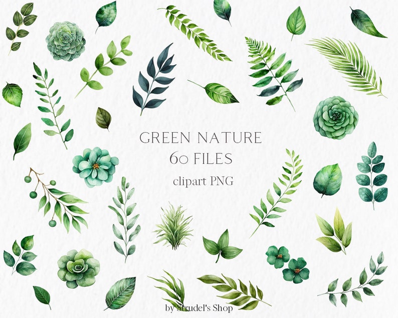Green Nature Watercolor Clipart PNG Greenery Foliage Floral - Etsy