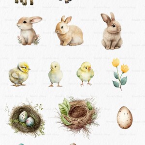 Cozy Easter Watercolor Clipart PNG Cute Spring Bunny Farmhouse Rabbit ...