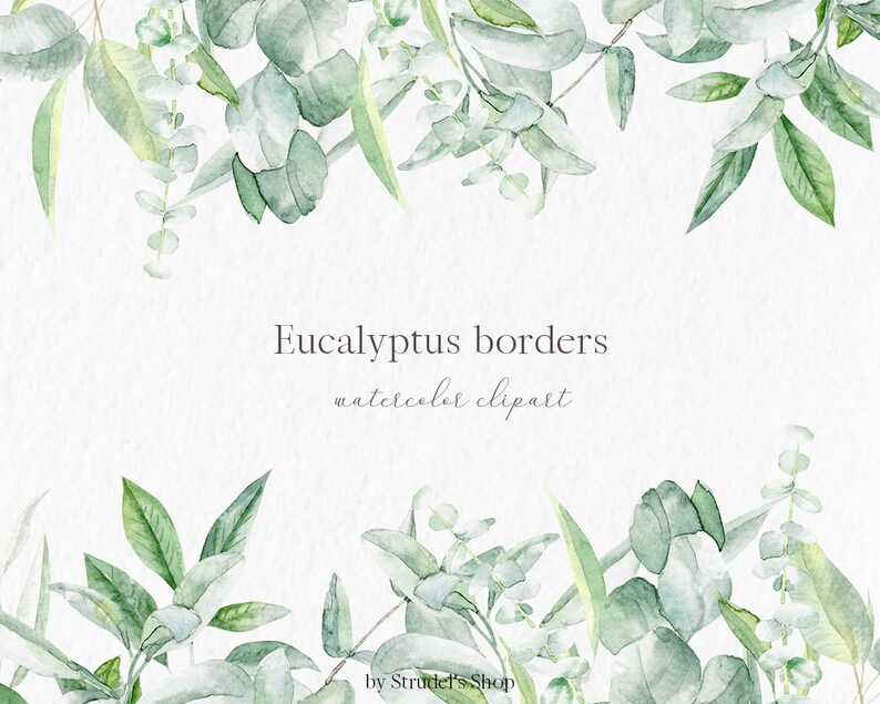 Eucalyptus Border Watercolor Clipart PNG Wedding Invitation - Etsy
