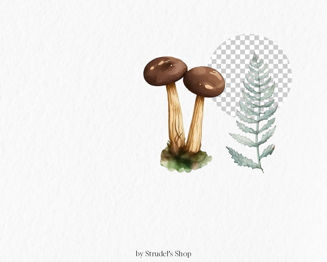 Mushrooms Watercolor Clipart PNG - Forest Woodland Fall Autumn ...