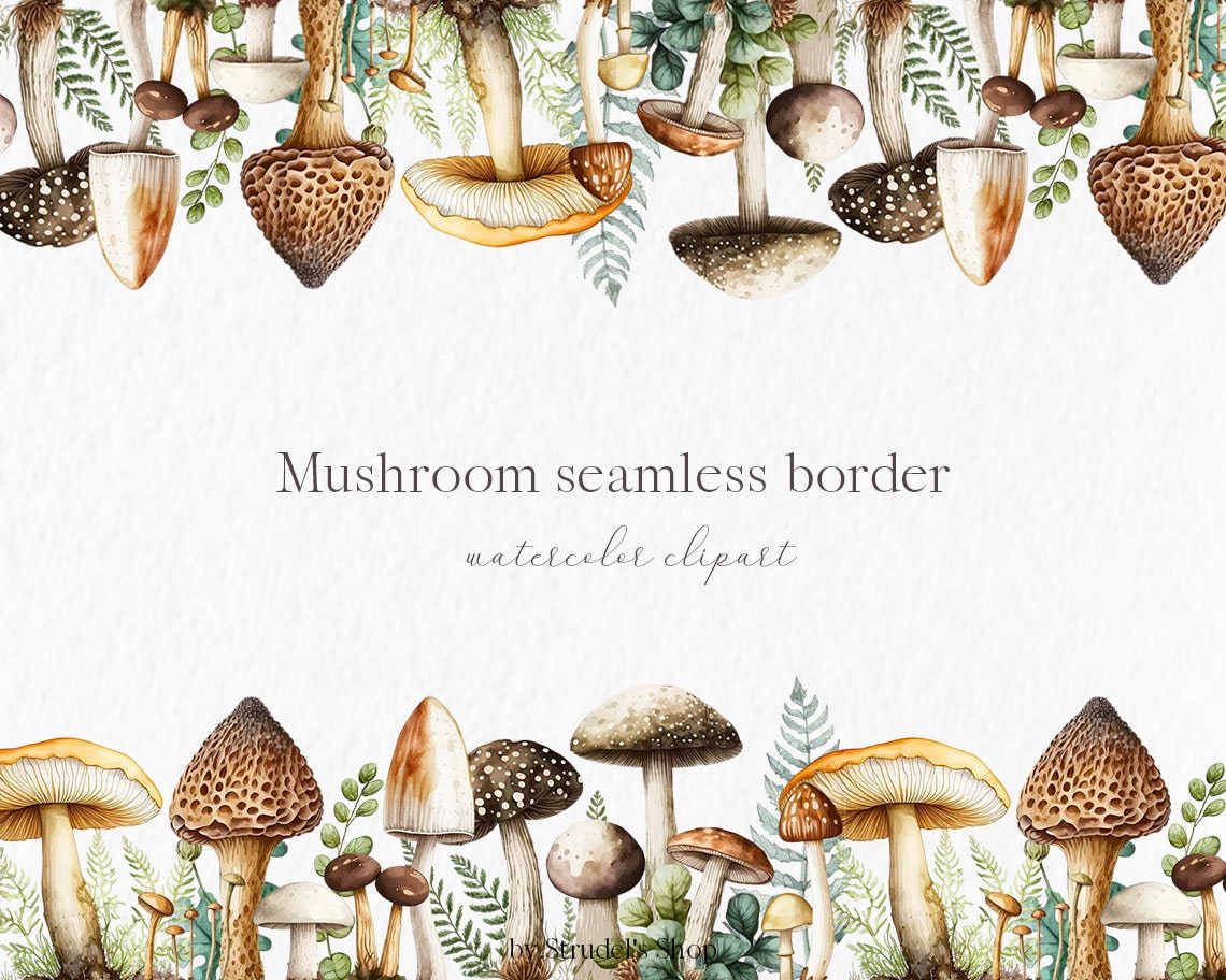 Mushroom Seamless Border Watercolor Clipart PNG Autumn - Etsy