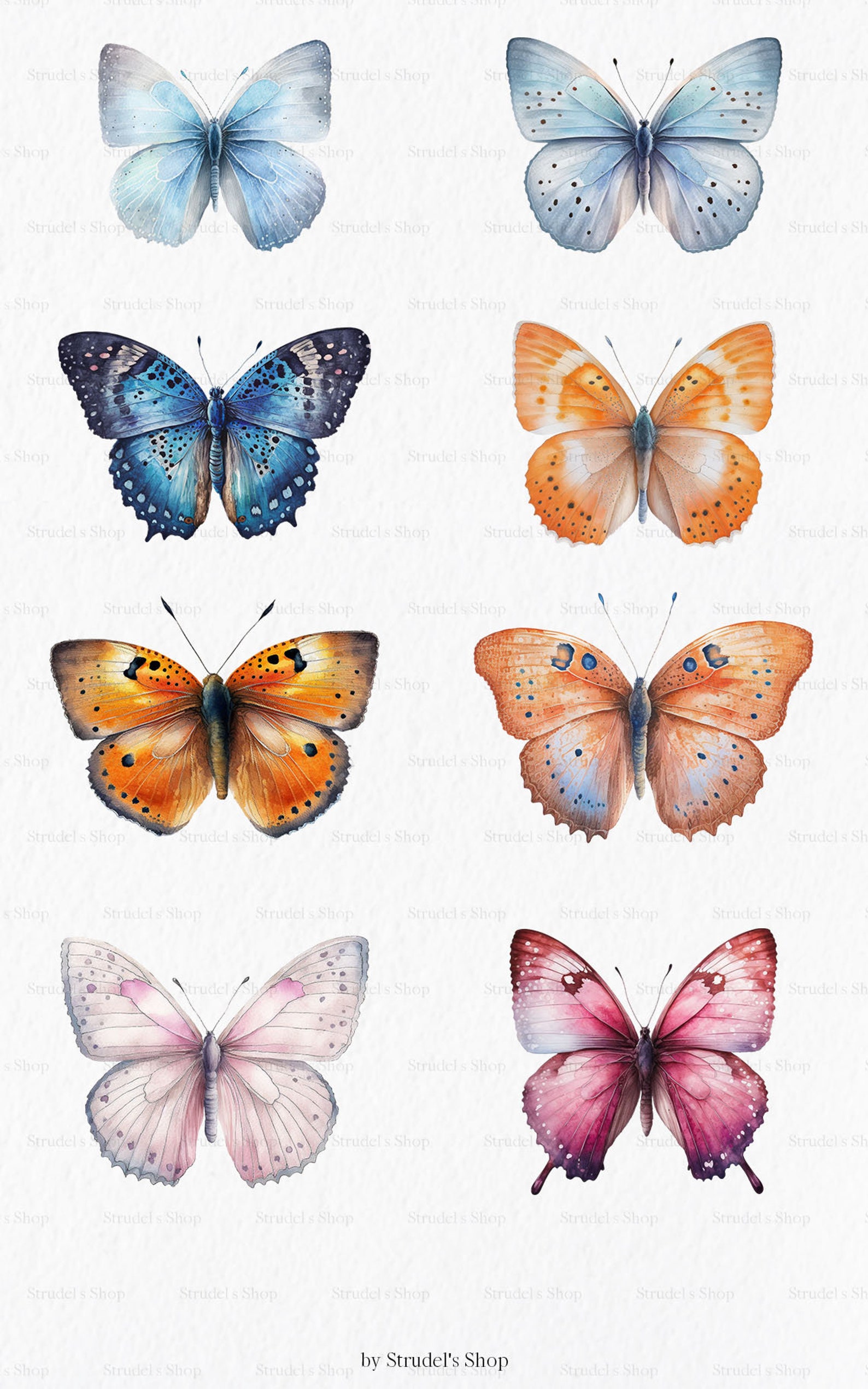Butterflies Watercolor Clipart PNG Insect Clipart Hand Drawn - Etsy