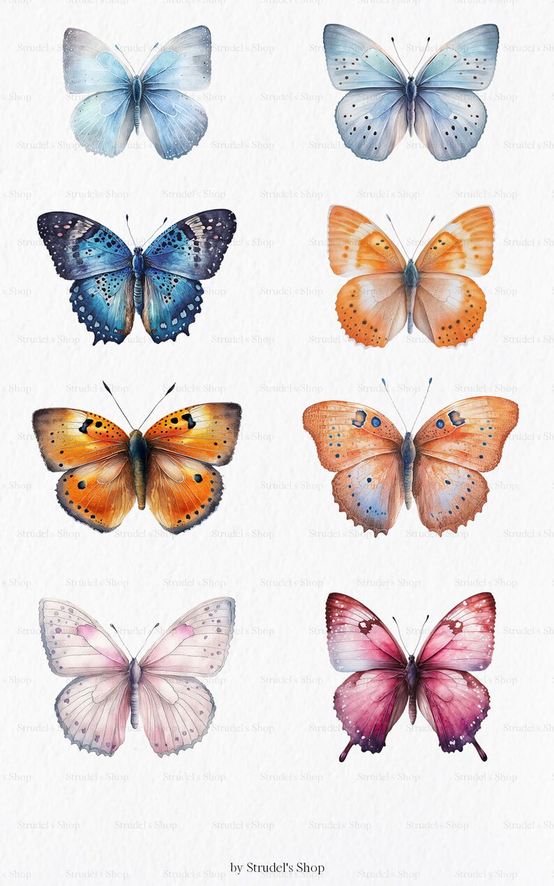 Butterflies Watercolor Clipart PNG Insect Clipart Hand Drawn - Etsy