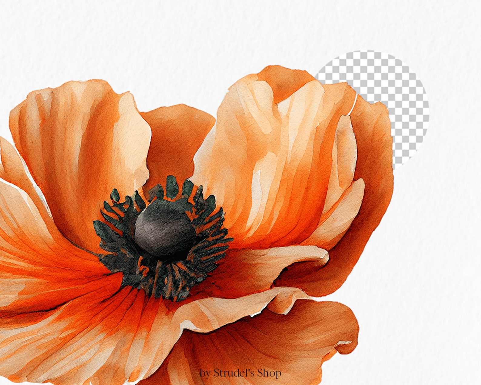 Burnt Orange Flower Watercolor Clipart PNG Fall Floral - Etsy
