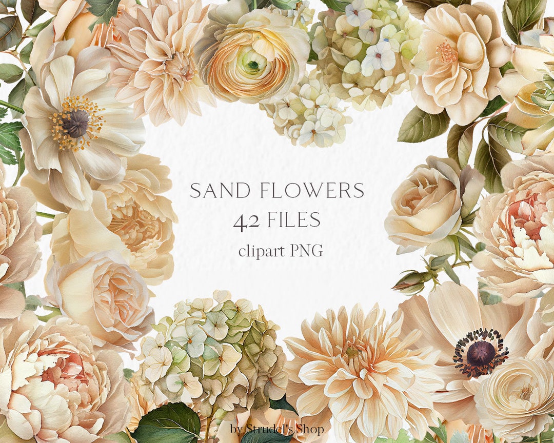 Neutral Beige Flowers Watercolor Clipart PNG #b107 - Etsy