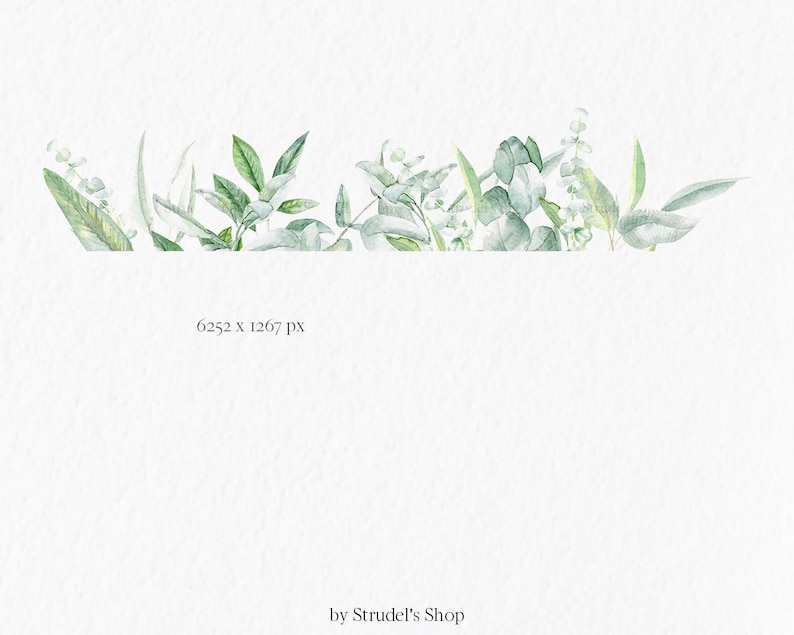Eucalyptus Border Watercolor Clipart PNG Wedding Invitation - Etsy