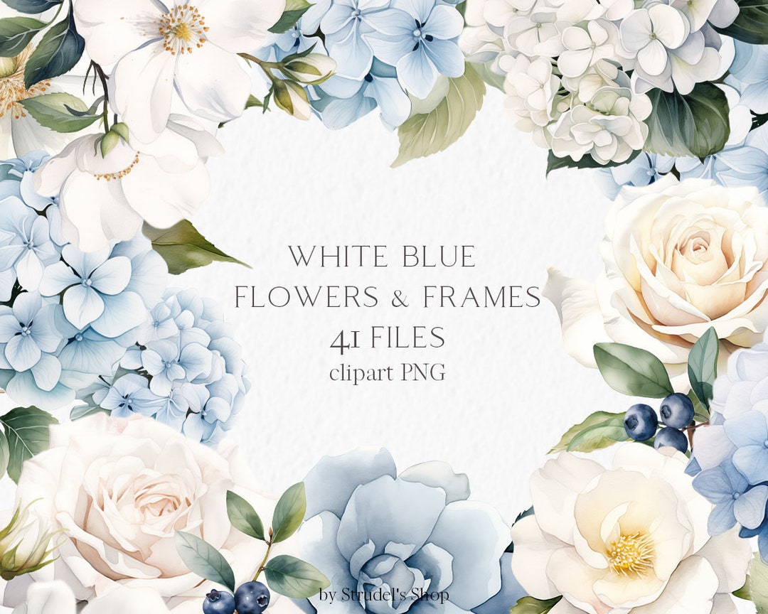 White Blue Rose Hydrangea Clipart - Frame Bouquet PNG Watercolor ...