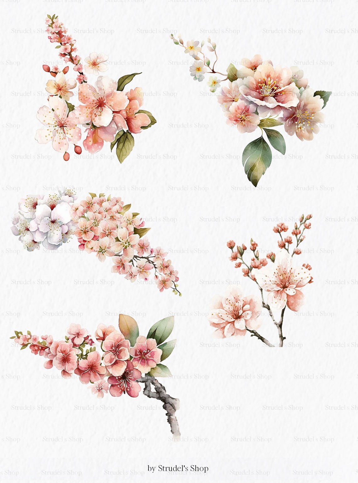 Sakura Blossom Watercolor Clipart PNG Flower Spring Wedding - Etsy