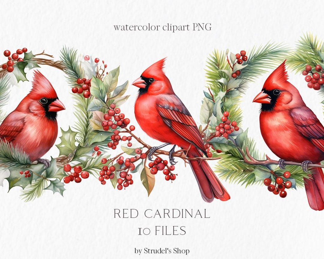 Red Cardinal Wreath Clipart PNG b193 - Etsy