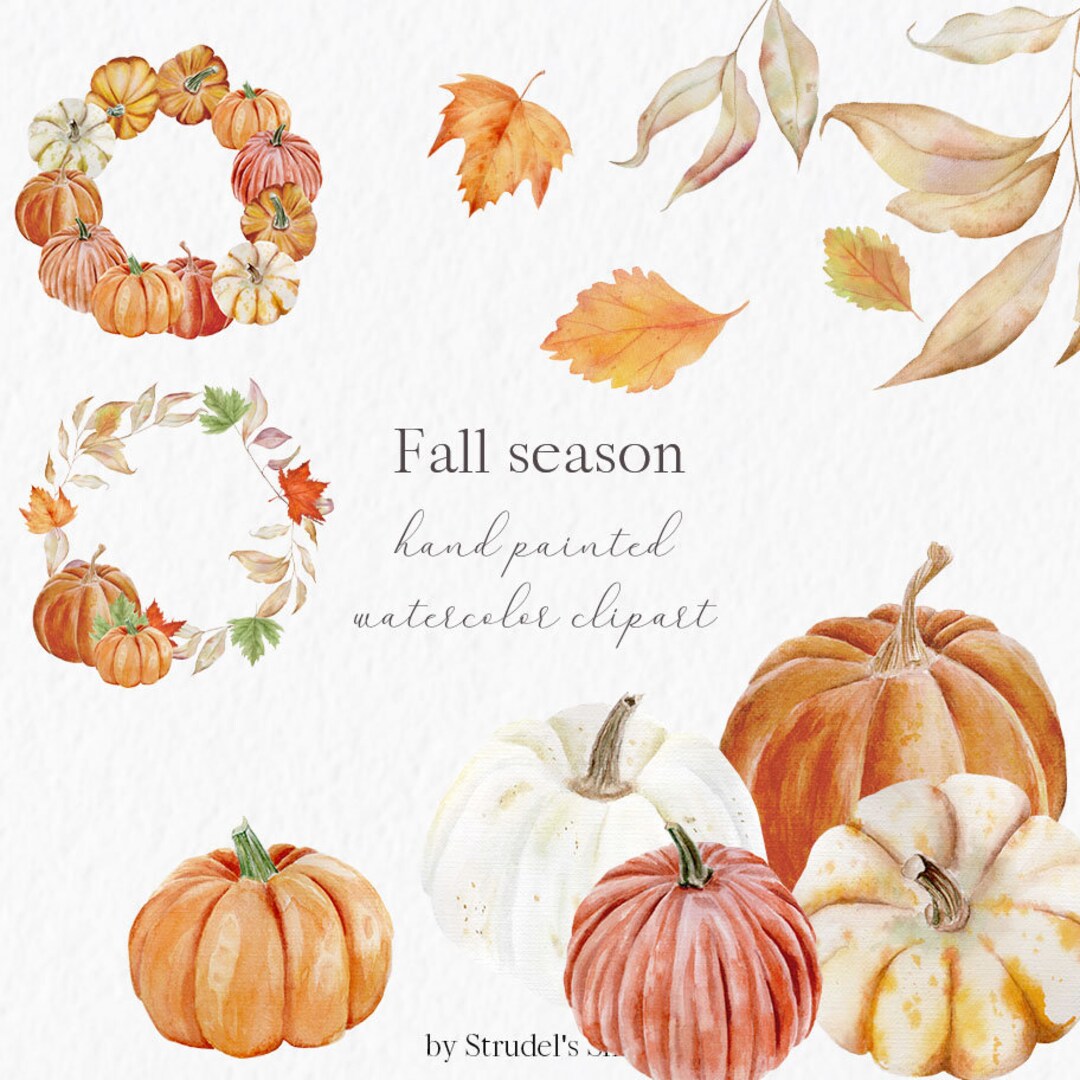 Watercolor Fall Clipart Autumn Clip Art White Orange Pumpkins Fall ...