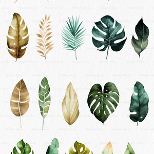 Tropical Leaves Watercolor Clipart PNG Summer Greenery - Etsy
