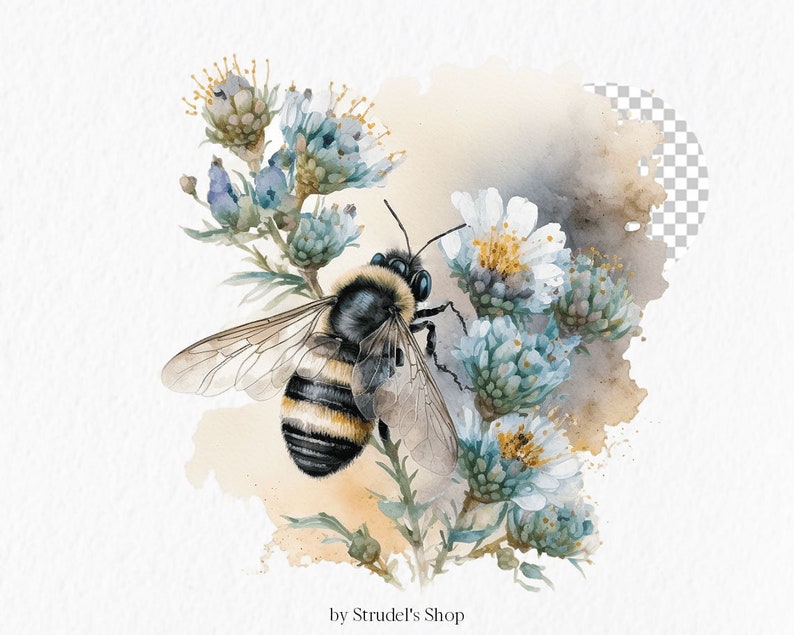 Bees and Wildflowers Watercolor Clipart PNG Honeybee - Etsy