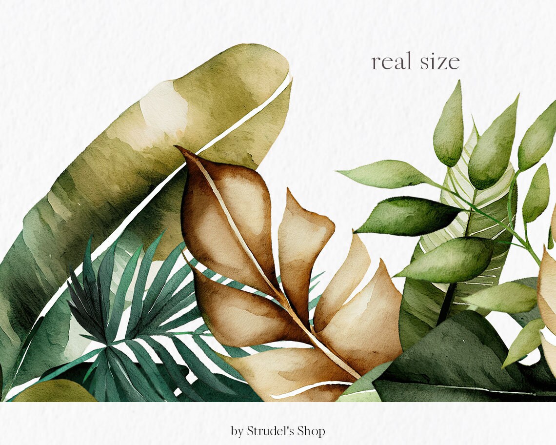 Jungle Seamless Border Watercolor Clipart PNG Tropical - Etsy