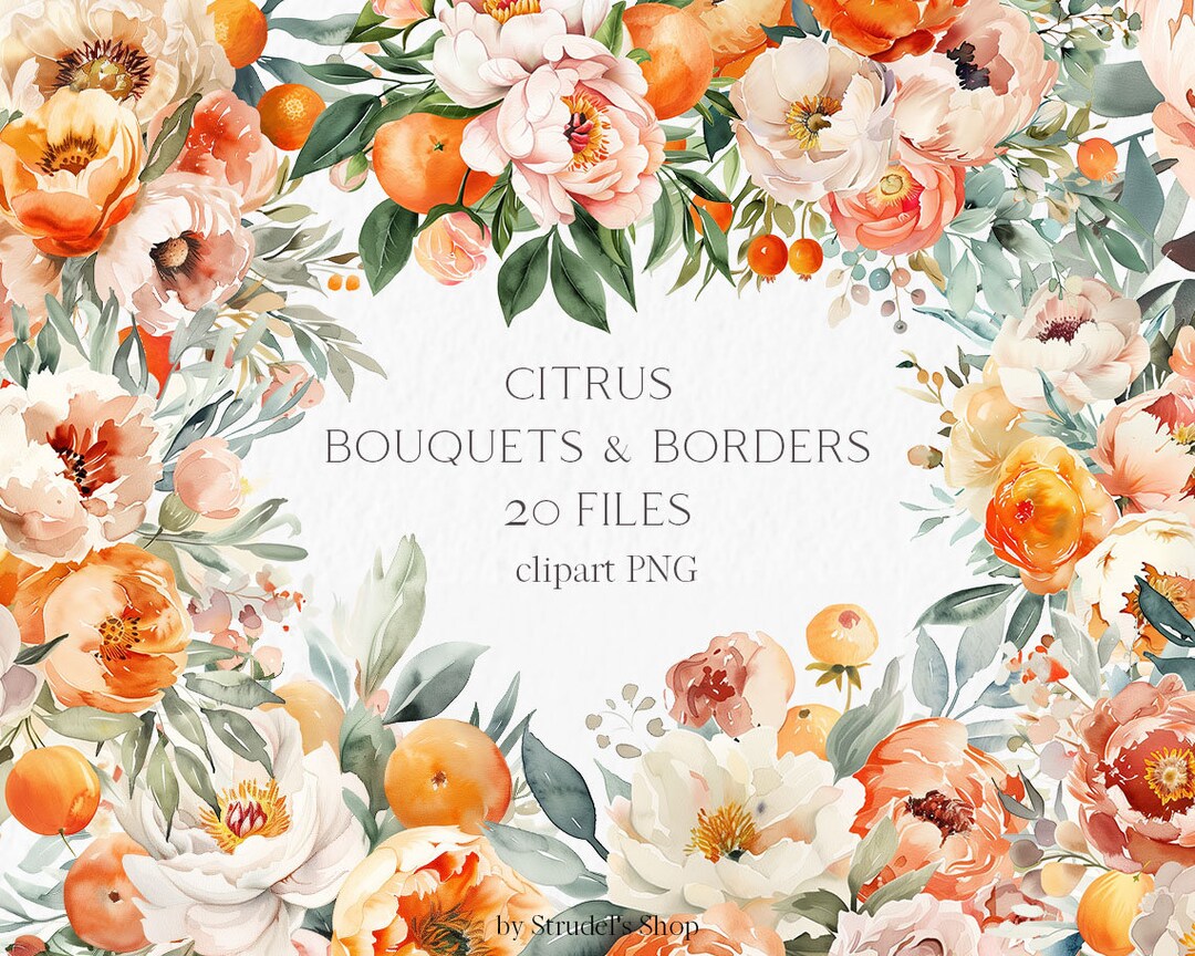 Citrus Bouquets Seamless Borders Watercolor Clipart PNG #b19 - Etsy