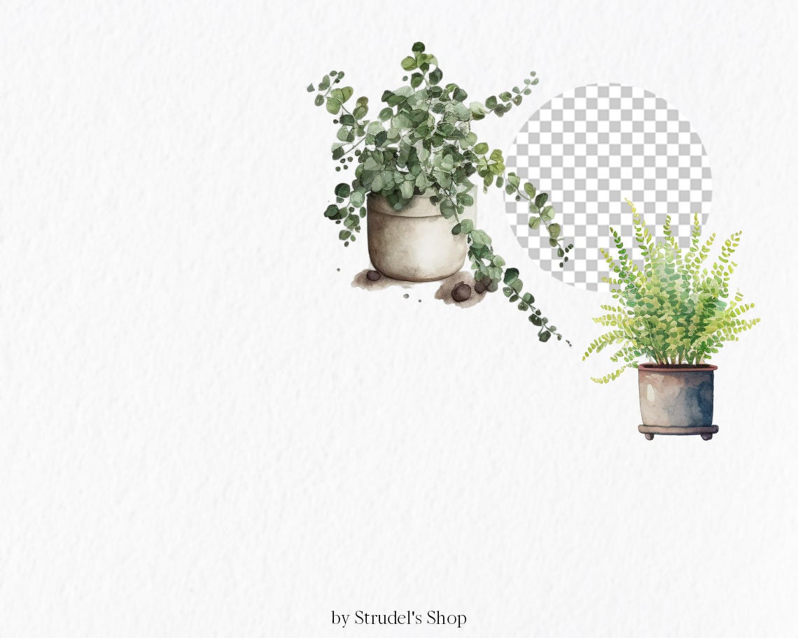 House Plants Watercolor Clipart PNG Crazy Plant Lady - Etsy