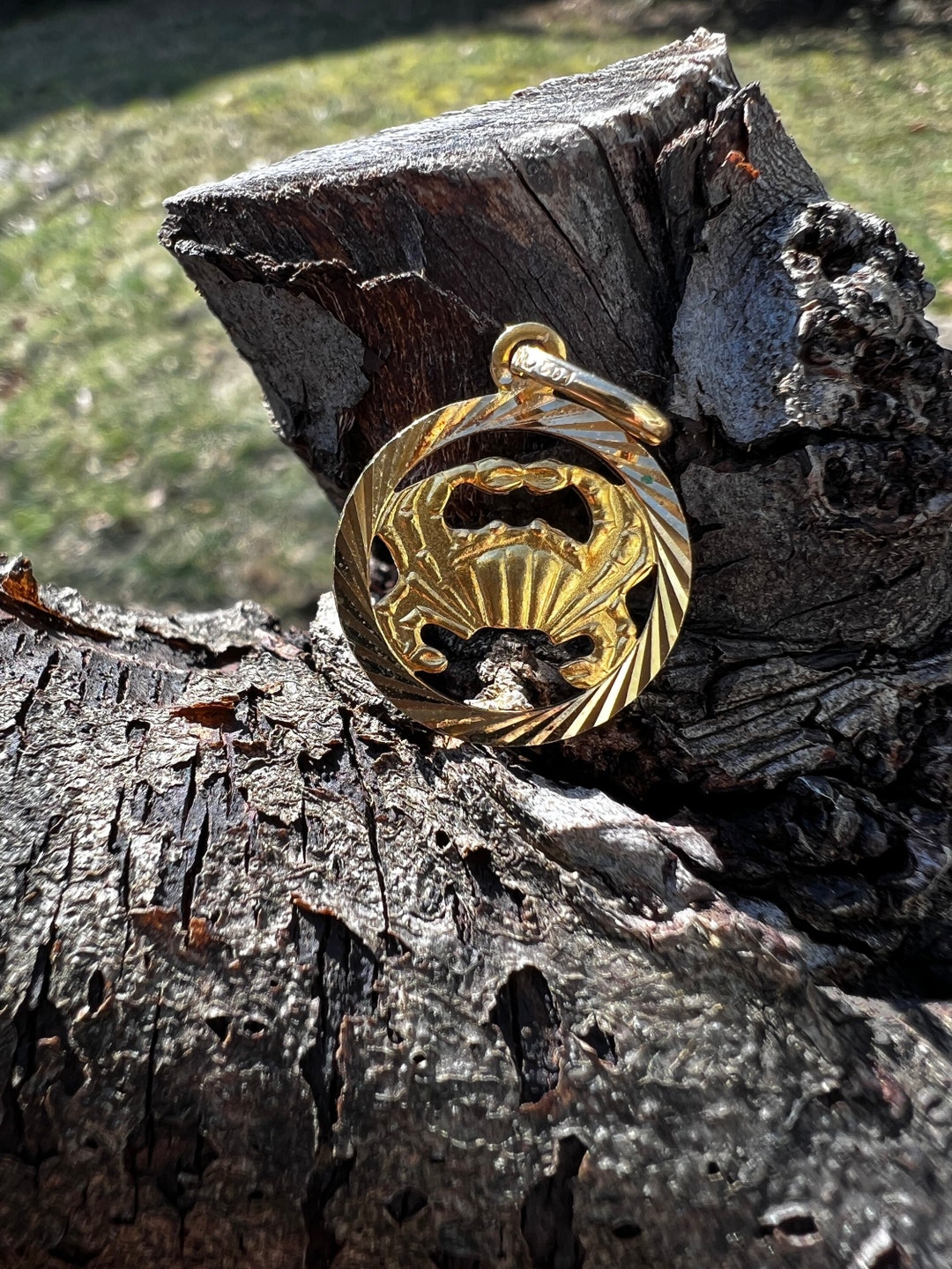 Gold Cancer Pendant, Gold Cancer Charm, Cancer Charm, Cancer Necklace ...