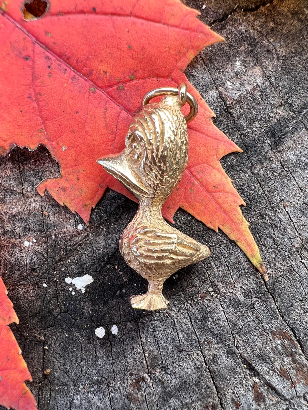 14k Yellow Gold Duck Worry Bird Charm, Textured Gold Feathers - Etsy