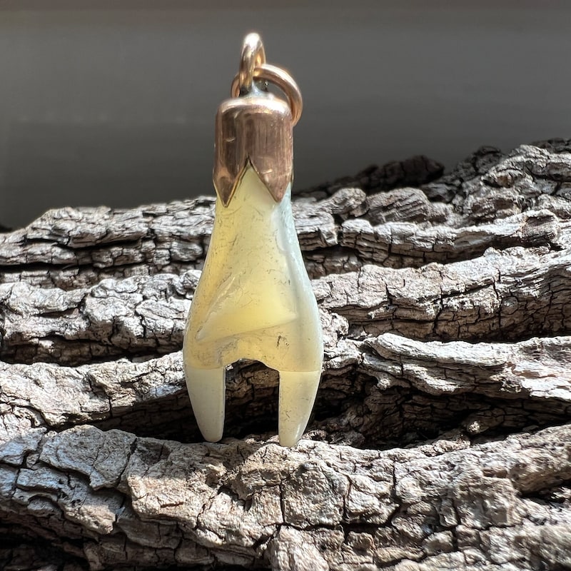 Mano Cornuta - Etsy