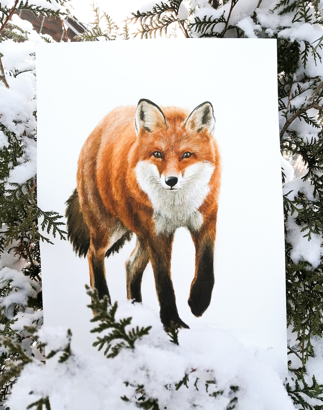 Prowling Fox a Watercolor Painting - Etsy