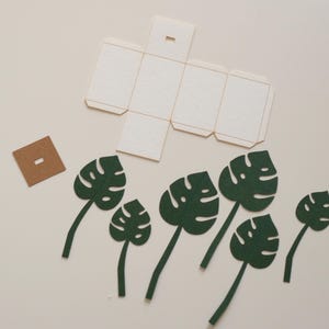 DIY Paper Plants Craft Kit- Set of 3 Unique Plant Designs for Creative ...