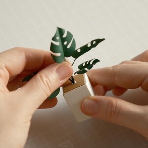 DIY Paper Plants Craft Kit- Set of 3 Unique Plant Designs for Creative ...