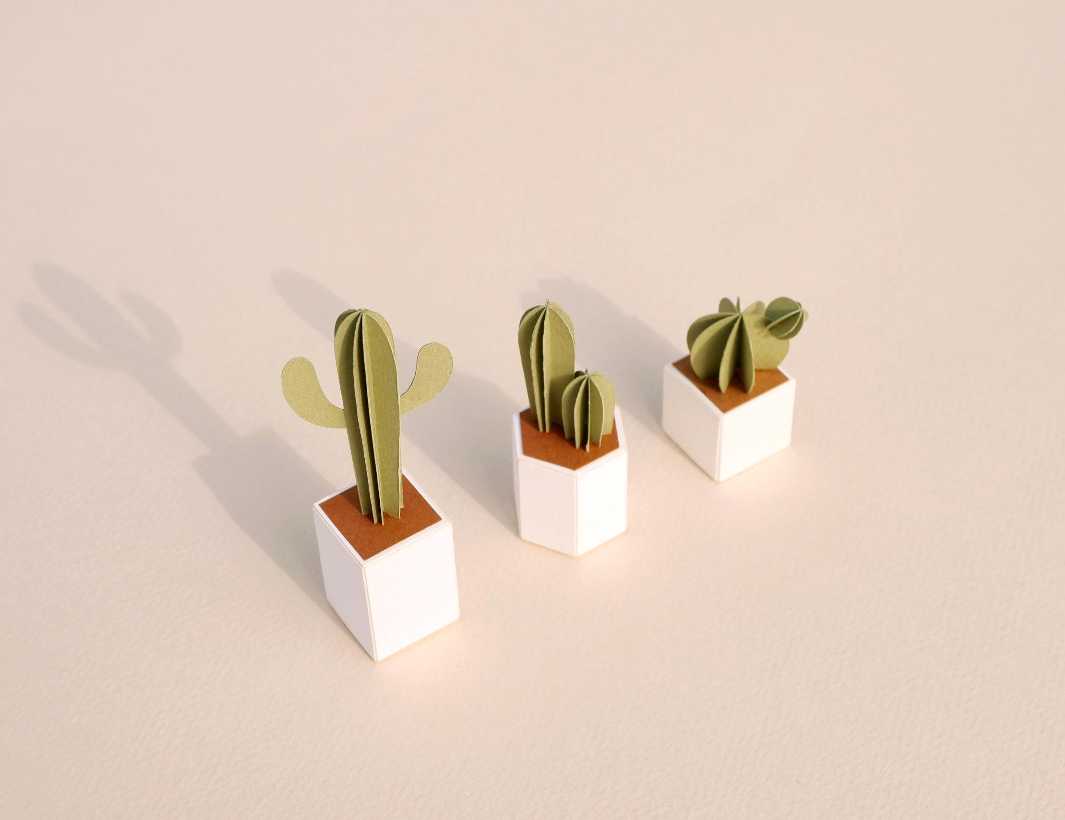DIY Paper Craft Cactus Kit – Set of 3 Unique Designs for Creative Fun ...