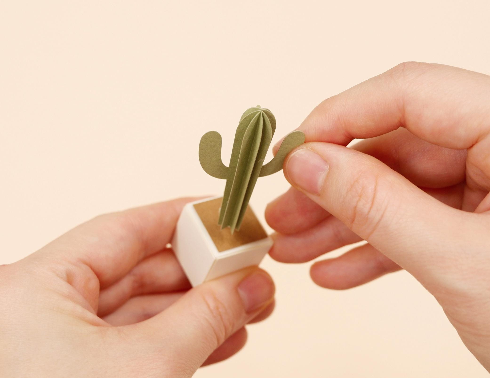 DIY Paper Craft Cactus Kit – Set of 3 Unique Designs for Creative Fun ...