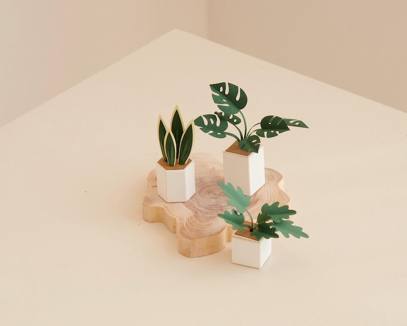 DIY Paper Plants Craft Kit- Set of 3 Unique Plant Designs for Creative ...