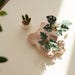 DIY Paper Plants Craft Kit- Set of 3 Unique Plant Designs for Creative ...