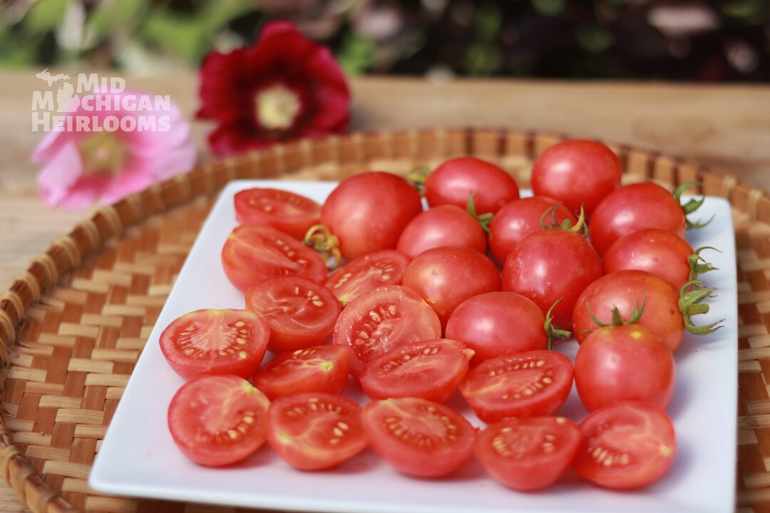 Captain Myers Tomato Seeds 15 Seeds - Etsy
