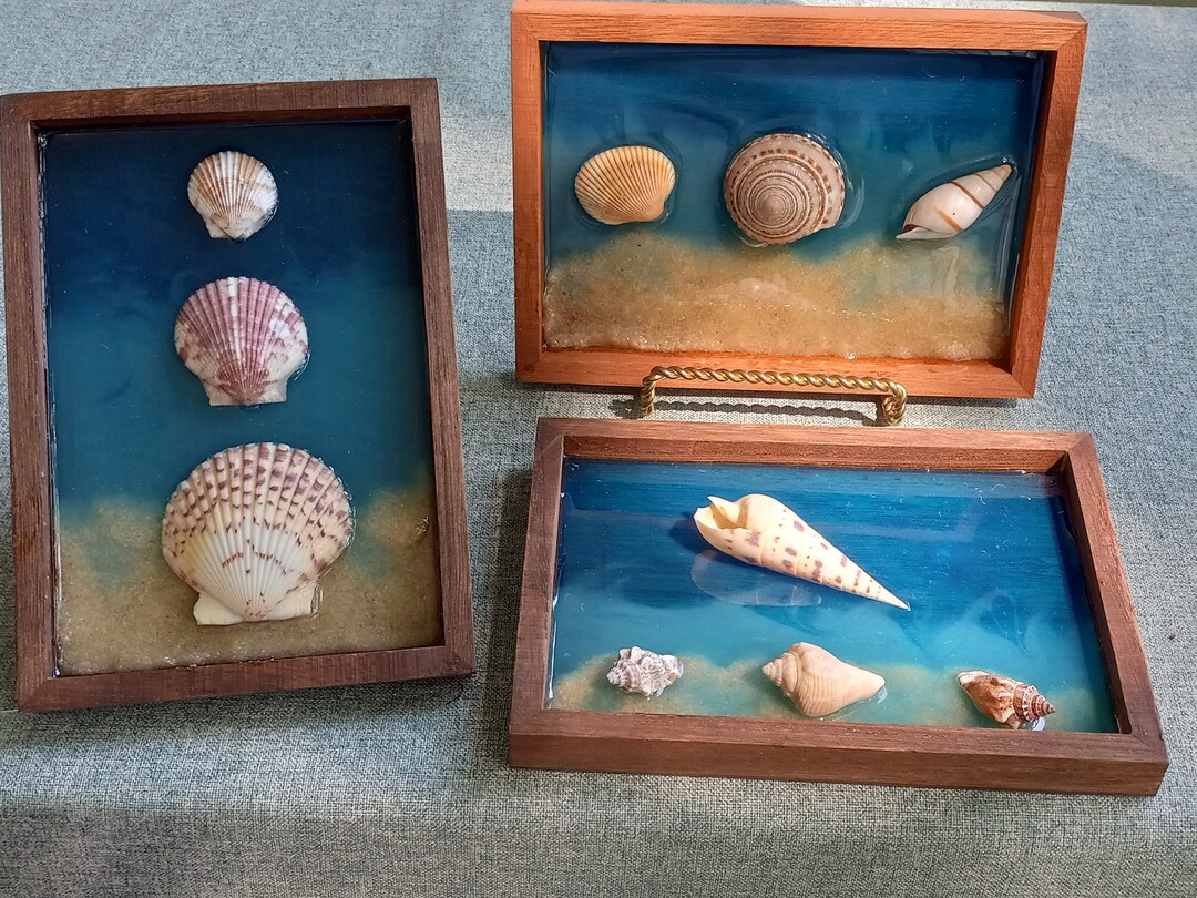 Seashell Beach Decor, Seashell Shadowbox Wall Art, Resin Ocean Art - Etsy