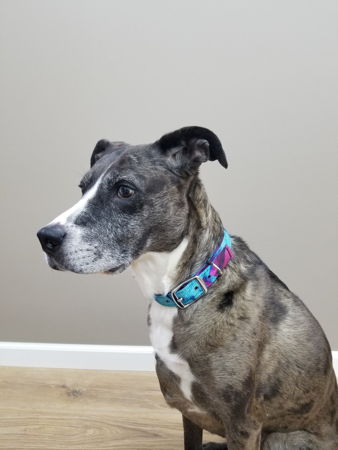 Swirl Tongue Buckle Collar - Etsy