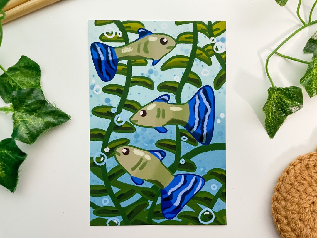 Guppies Art Print Cute Fish Art Print - Etsy