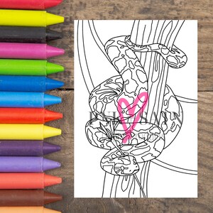 Jungle Animal Coloring Page Bundle, Kids Coloring Pages, Coloring Page ...