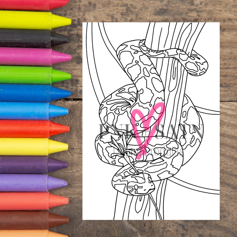 Jungle Animal Coloring Page Bundle, Kids Coloring Pages, Coloring Page ...